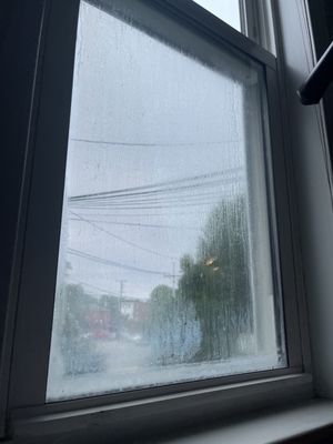 SOLO GLASS - Updated January 2026 - 16 Photos & 113 Verified Reviews ...