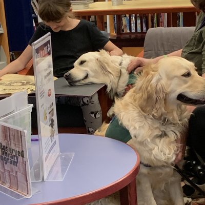 ROHNERT PARK COTATI LIBRARY - Updated December 2025 - 18 Photos & 33 ...