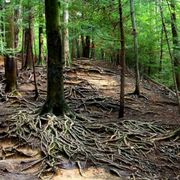 CHESTNUT RIDGE PARK - 168 Photos & 58 Reviews - 6121 Chestnut Ridge Rd ...