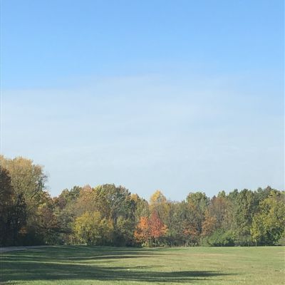 GO APE ZIPLINE & ADVENTURE PARK - Updated October 2025 - 71 Photos & 70 ...