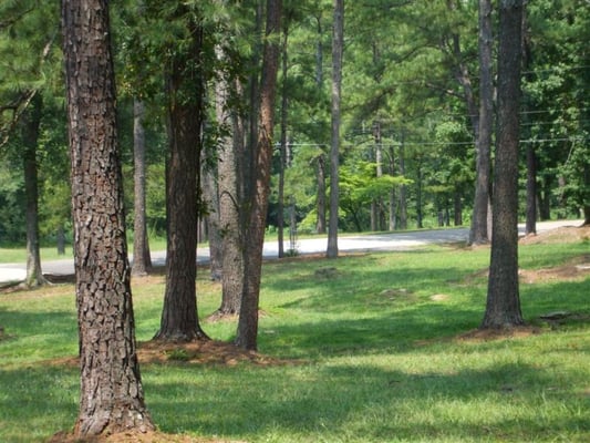 CIVITAN PARK JOHN LEMASTER DISC GOLF COURSE - Updated December 2025 ...