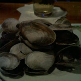 WIMPY’S CAPE COD - Updated December 2025 - 121 Photos & 194 Reviews ...