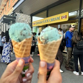 COWS - Updated May 2025 - 301 Photos & 192 Reviews - 138 Banff Avenue ...