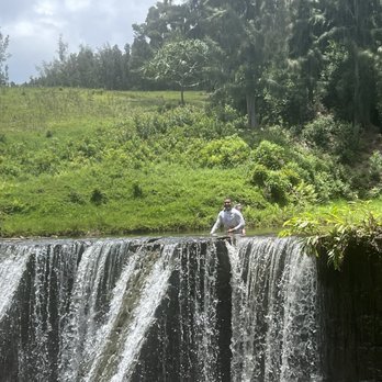 WAI KOA LOOP TRAIL - Updated October 2025 - 180 Photos & 42 Reviews - 5 ...