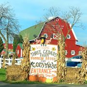 THREE CEDARS FARM - TEMP. CLOSED - 341 Photos & 120 Reviews - 7897 Six ...