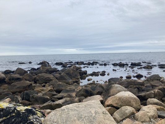 NAPATREE POINT / BEACH - 25 Photos & 13 Reviews - 99 Fort Rd, Westerly ...