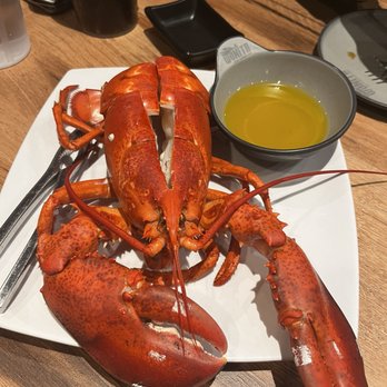 WONITA SUSHI SEAFOOD AND BAR - Updated July 2025 - 283 Photos & 124 ...