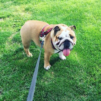 UNM NORTH GOLF COURSE - Updated January 2026 - 34 Photos & 16 Reviews ...