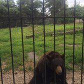 POPCORN PARK ZOO - 239 Photos & 106 Reviews - Zoos - Humane Way, Forked ...
