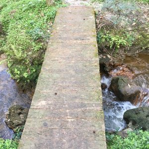 FSU REZ - 11 Photos - 3226 Flastacowo Rd, Tallahassee, Florida - Parks ...