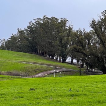 GAMBONINI FAMILY RANCH - Updated October 2025 - 12 Photos - 7149 Old ...