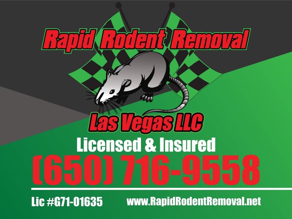 RAPID RODENT REMOVAL - 113 Photos - Las Vegas, Nevada - Pest Control - Phone Number - Yelp