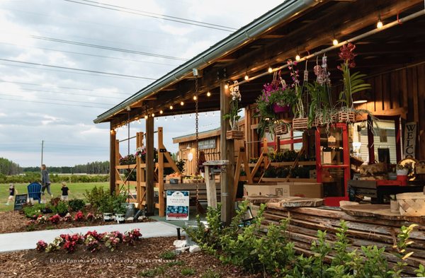 STARKEY MARKET - 286 Photos & 65 Reviews - 3460 Starkey Blvd, Trinity ...