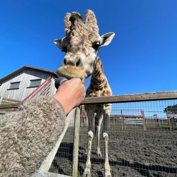 B BRYAN PRESERVE - Updated July 2025 - 773 Photos & 356 Reviews - 130 ...