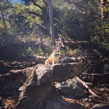 HOLY JIM FALLS TRAIL - Updated October 2025 - 565 Photos & 219 Reviews ...