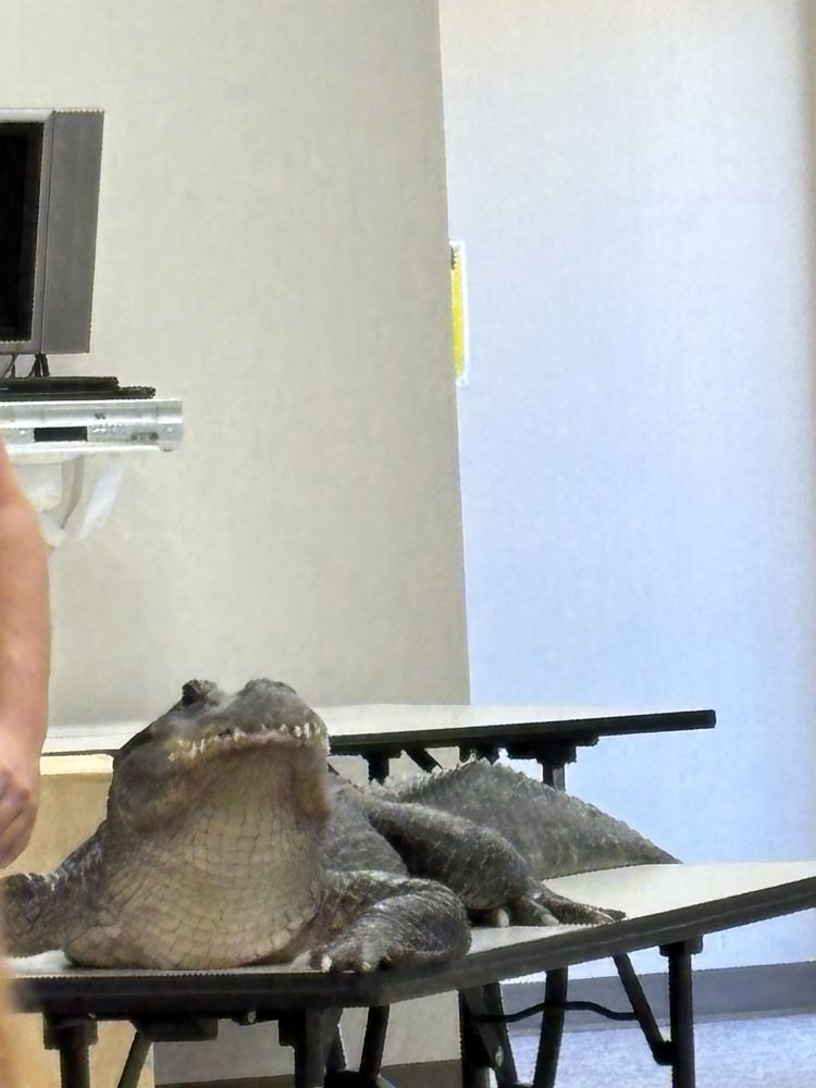 SPANISH SPRINGS LIBRARY - Updated October 2025 - 48 Photos & 27 Reviews ...