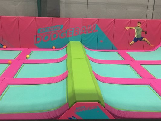 SHELL WE BOUNCE - Updated January 2025 - 84 Photos & 47 Reviews - 32295 ...