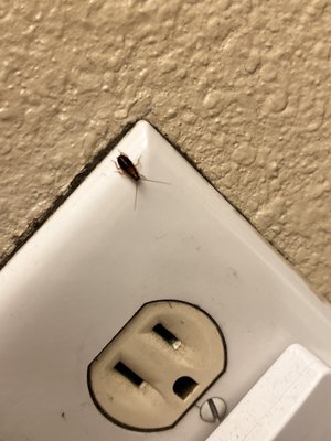 GATEWAY AT TEMPE - Updated October 2025 - 161 Photos & 188 Reviews ...