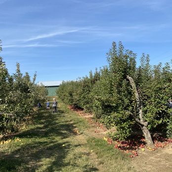 R & A ORCHARDS - Updated December 2024 - 138 Photos & 78 Reviews - 5505 ...