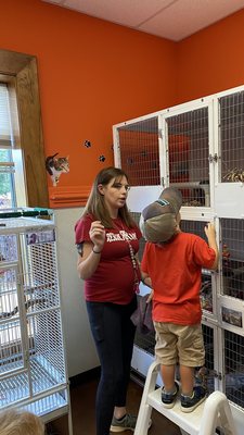 RESCUE RANCH - 17 Photos - 1424 Turnersburg Hwy, Statesville, North ...