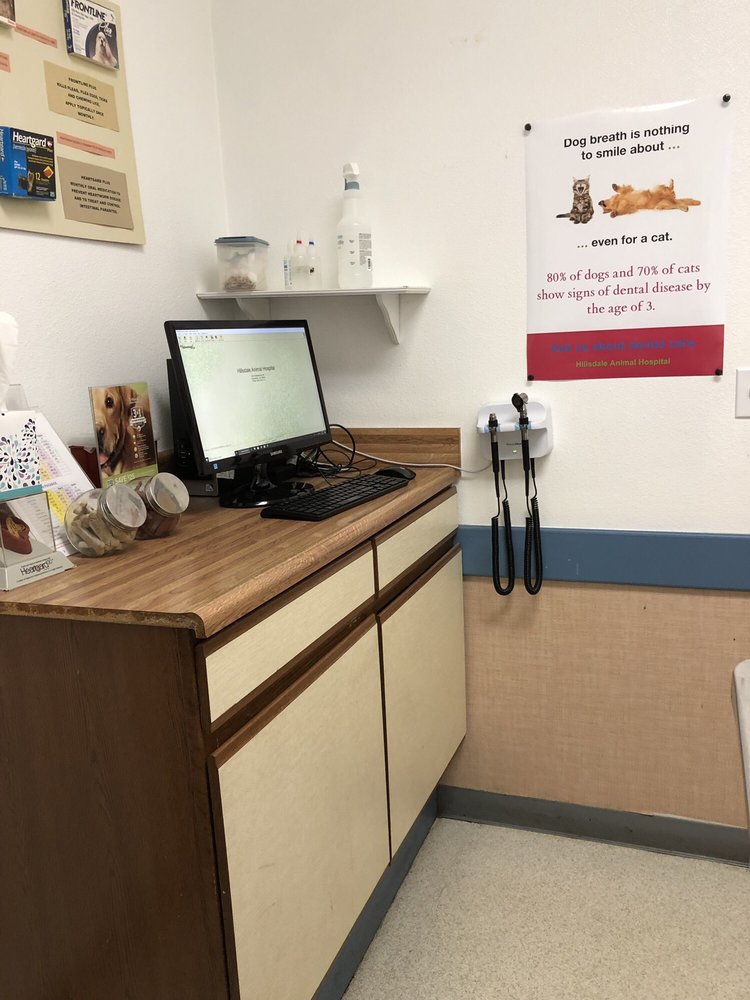 HILLSDALE ANIMAL HOSPITAL - 20 Photos & 73 Reviews - Veterinarians ...