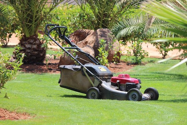 MOW MANAGERS - Updated June 2026 - 52 Photos & 93 Reviews - Austin ...
