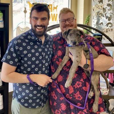 PAW WORKS - Updated October 2025 - 63 Photos & 115 Reviews - 180 W ...