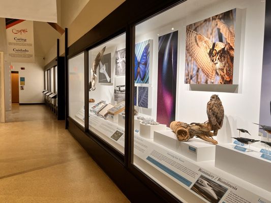 SAN BERNARDINO COUNTY MUSEUM - Updated October 2025 - 1010 Photos & 120 ...