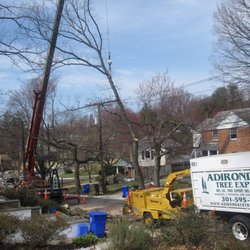 ADIRONDACK TREE EXPERTS - 32 Photos & 75 Reviews - Beltsville, Maryland ...