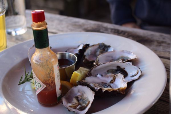 CAFE REYES - Updated September 2024 - 480 Photos & 665 Reviews - 11101 ...