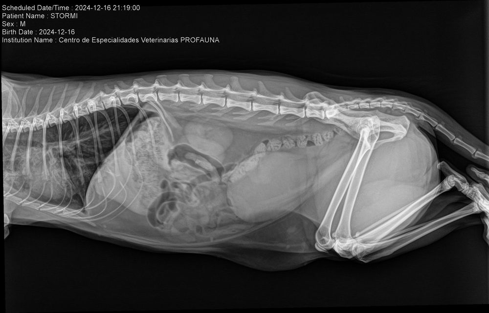 PROFAUNA HOSPITAL VETERINARIO - Updated February 2026 - 34 Photos & 79 ...