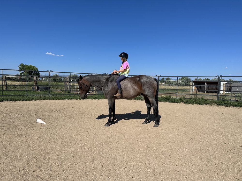 ANNA’S FARM - Updated September 2025 - Request Information - 11197 ...