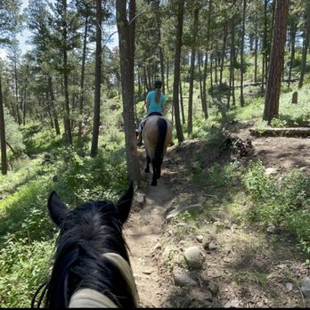 GRINDSTONE STABLES - Updated November 2024 - 58 Photos & 55 Reviews ...