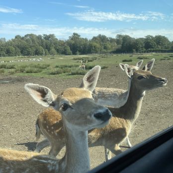 OLYMPIC GAME FARM - Updated December 2025 - 900 Photos & 394 Reviews ...