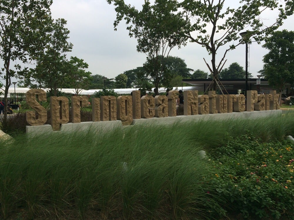 SPRINGLEAF NATURE PARK - Updated May 2024 - 1230 Upper Thomson Rd ...