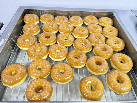 DONUT CITY - Updated October 2025 - 102 Photos & 33 Reviews - 1331 ...