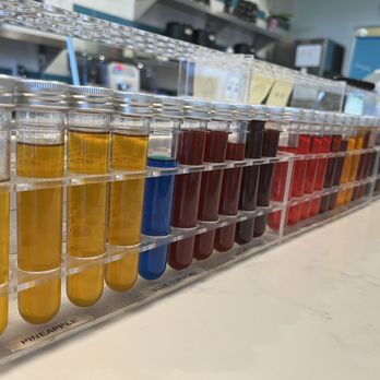 DIY TEA LAB - NEWCASTLE - Updated November 2024 - 445 Photos & 204 ...