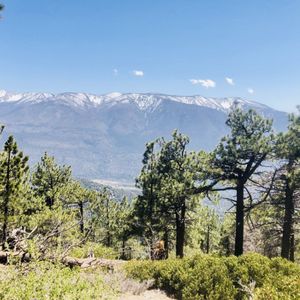 CAMP PONDO - Updated May 2025 - 10 Photos - 31324 Green Valley Lake Rd ...