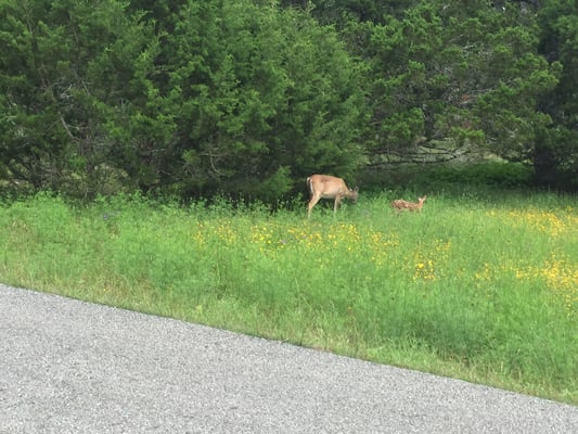 WIZARD ACADEMY - 20 Photos & 11 Reviews - 16221 Crystal Hills Dr ...