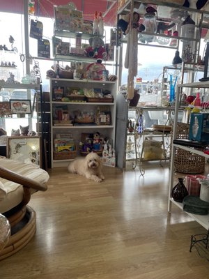 UNION ANTIQUES - 2602 Union Ave, San Jose, California - Antiques - Yelp