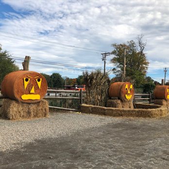 SILVERMAN’S FARM - Updated October 2024 - 183 Photos & 129 Reviews ...