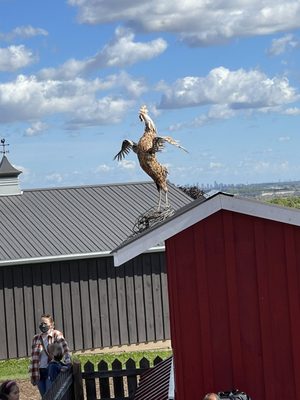 SPRINGRIDGE FARM - Updated November 2025 - 160 Photos & 44 Reviews ...