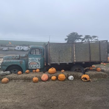 RODONI FARMS - Updated January 2026 - 151 Photos & 34 Reviews - 4444 ...