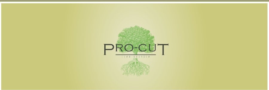 PRO CUT TREE SERVICES - Updated August 2025 - Everett, Washington ...