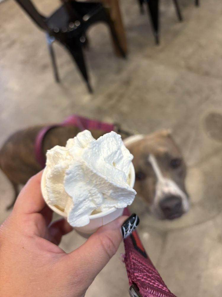 ESPRESSIOSO’S COFFEE - Updated January 2026 - 23 Photos & 25 Reviews ...