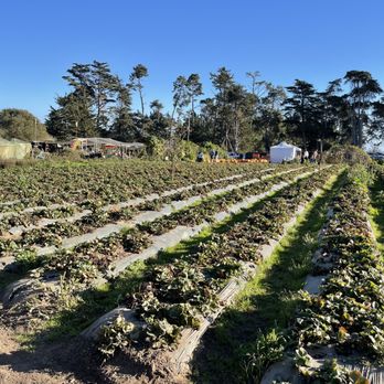 CRYSTAL BAY FARM - Updated October 2025 - 162 Photos & 76 Reviews - 40 ...