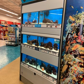 PETCO - Updated December 2025 - 15 Photos & 31 Reviews - 1205 W ...