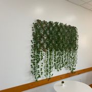 LING’S CAKERY - 69 Photos & 32 Reviews - 2723 N Classen Blvd, Oklahoma ...