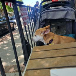 NORM’S PLACE - Updated July 2025 - 218 Photos & 458 Reviews - 356 Hartz Ave, Danville ...