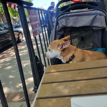 NORM’S PLACE - Updated October 2025 - 221 Photos & 459 Reviews - 356 Hartz Ave, Danville ...